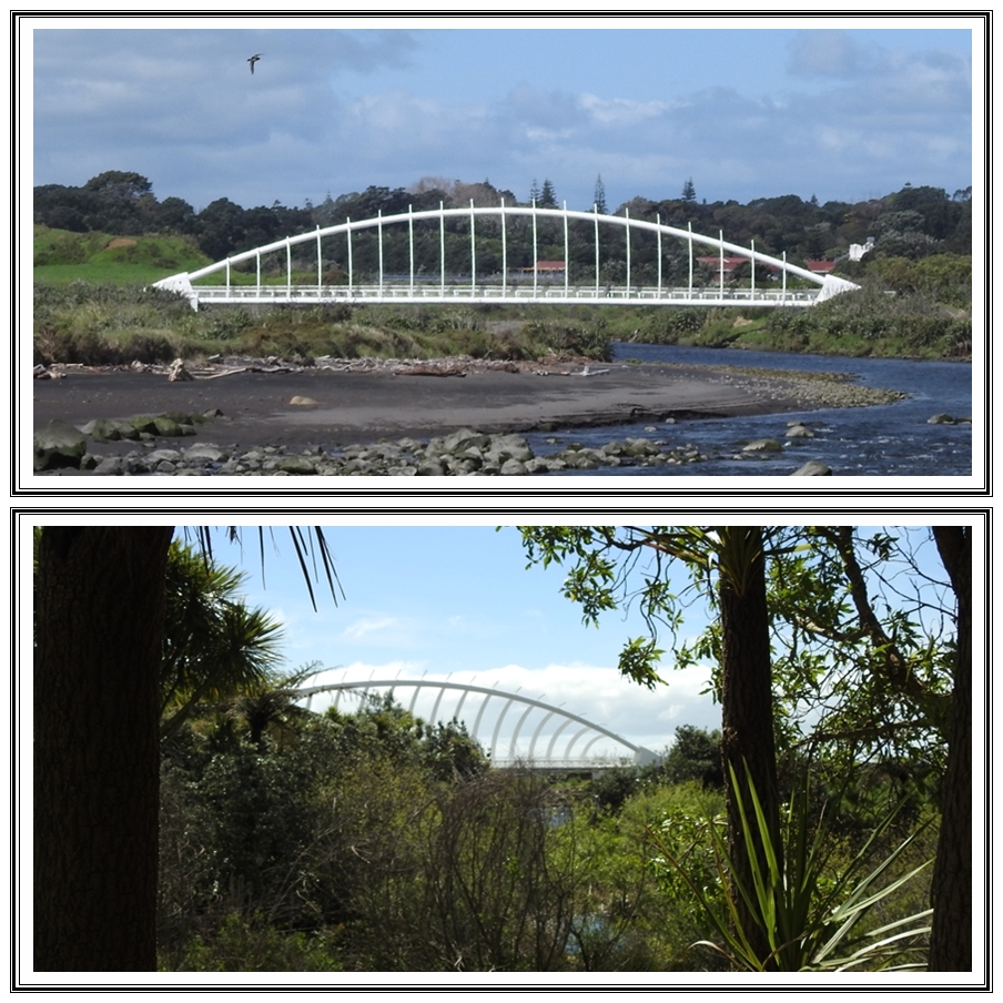 photographing New Zealand: Te Rewa Rewa Bridge