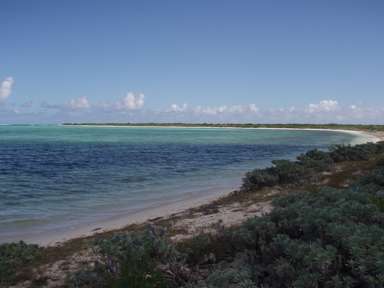 Carved Stone Quest: Anegada; historia de un naufragio y entierro de monedas