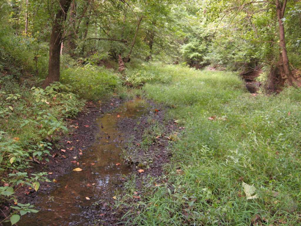 My Father's World: Finally...Stream Sampling