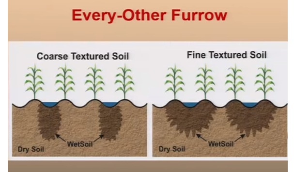 Furrow Irrigation System | Agriculture, Technology, and Business Market