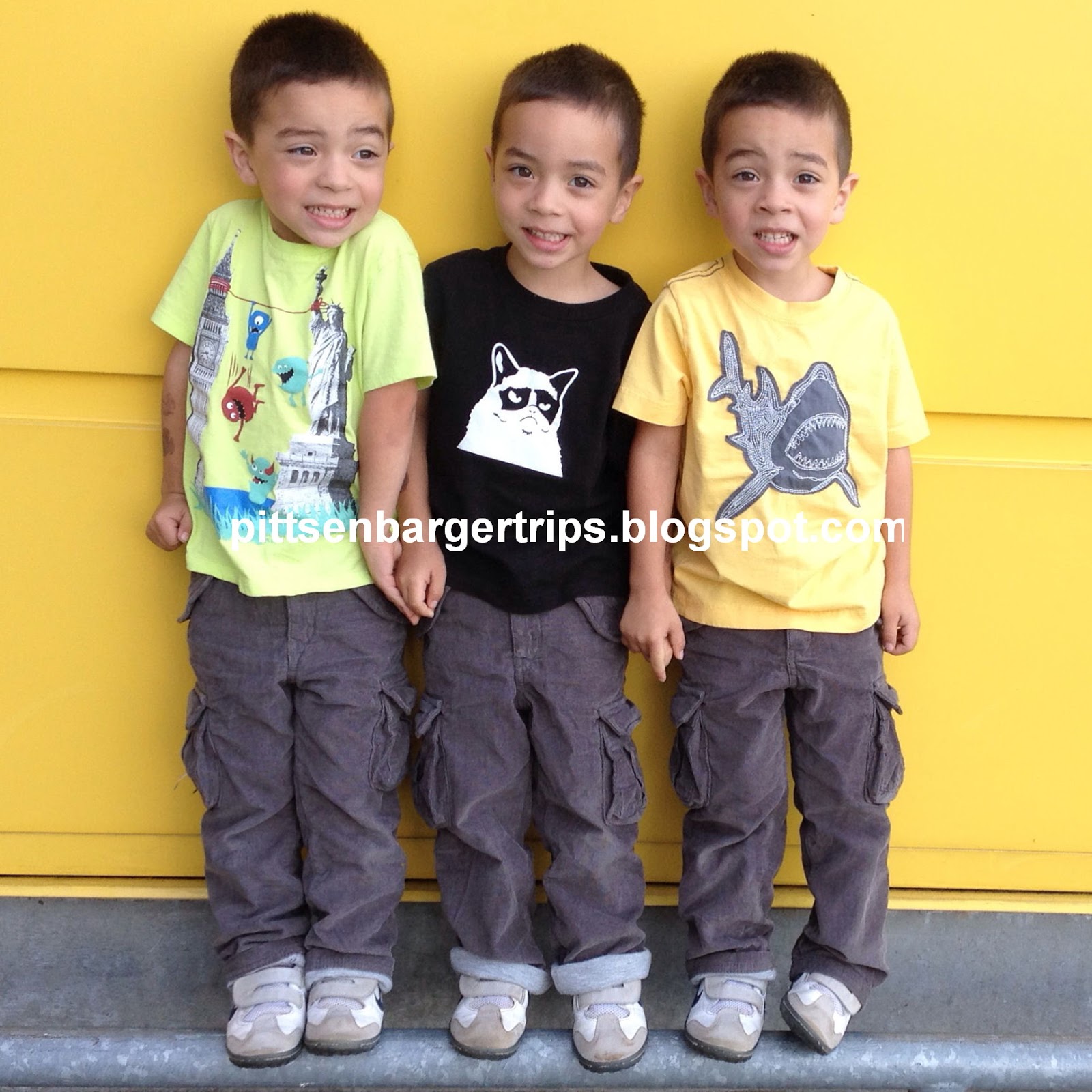 PITTS TRIP'S: the Pittsenbarger identical triplets saga: Triplets 5.0