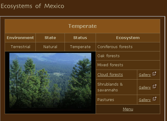 Citlali Reyes: ECOLOGY OF MEXICO 2014, BY CITLALI REYES