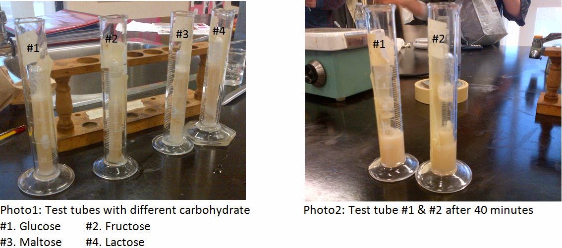 Tun Tun Oo Zanniat Blog Page: SBI4U: Cellular Respiration (Fermentation ...