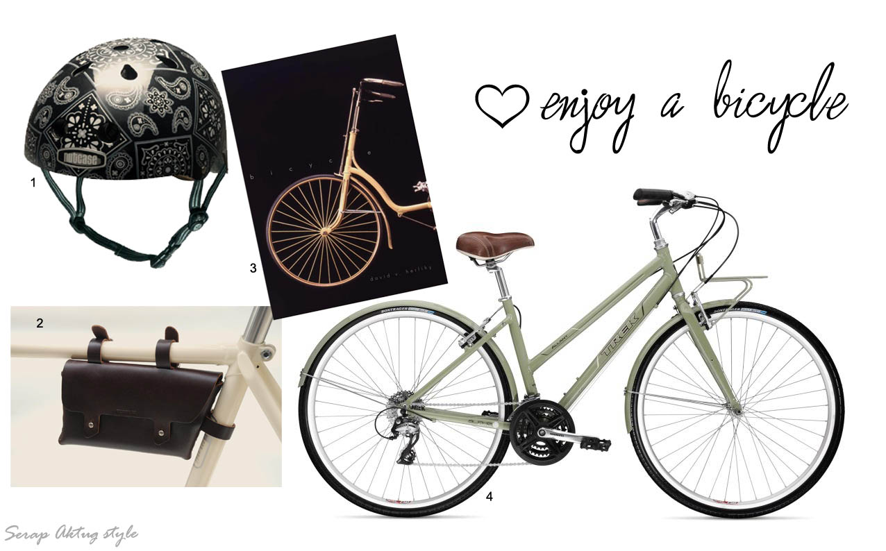 serapaktugleathergoods: A bike about town