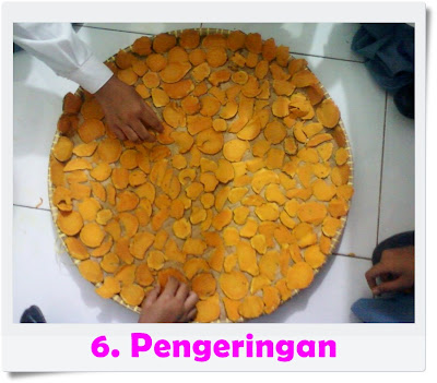 PembuatanSimplisiaTemulawak: Simplisia Temulawak