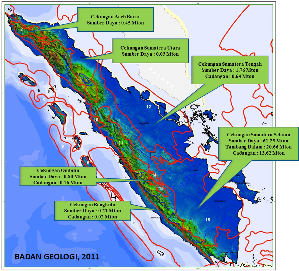 Jendela Explorasi: Genesa batubara Indonesia