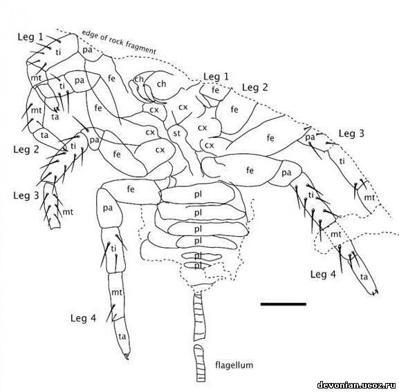 animais extintos e whatsApp