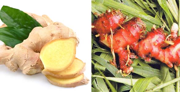 Pusat Rawatan Islam Elmufeed: Khasiat Dan Kelebihan Halia