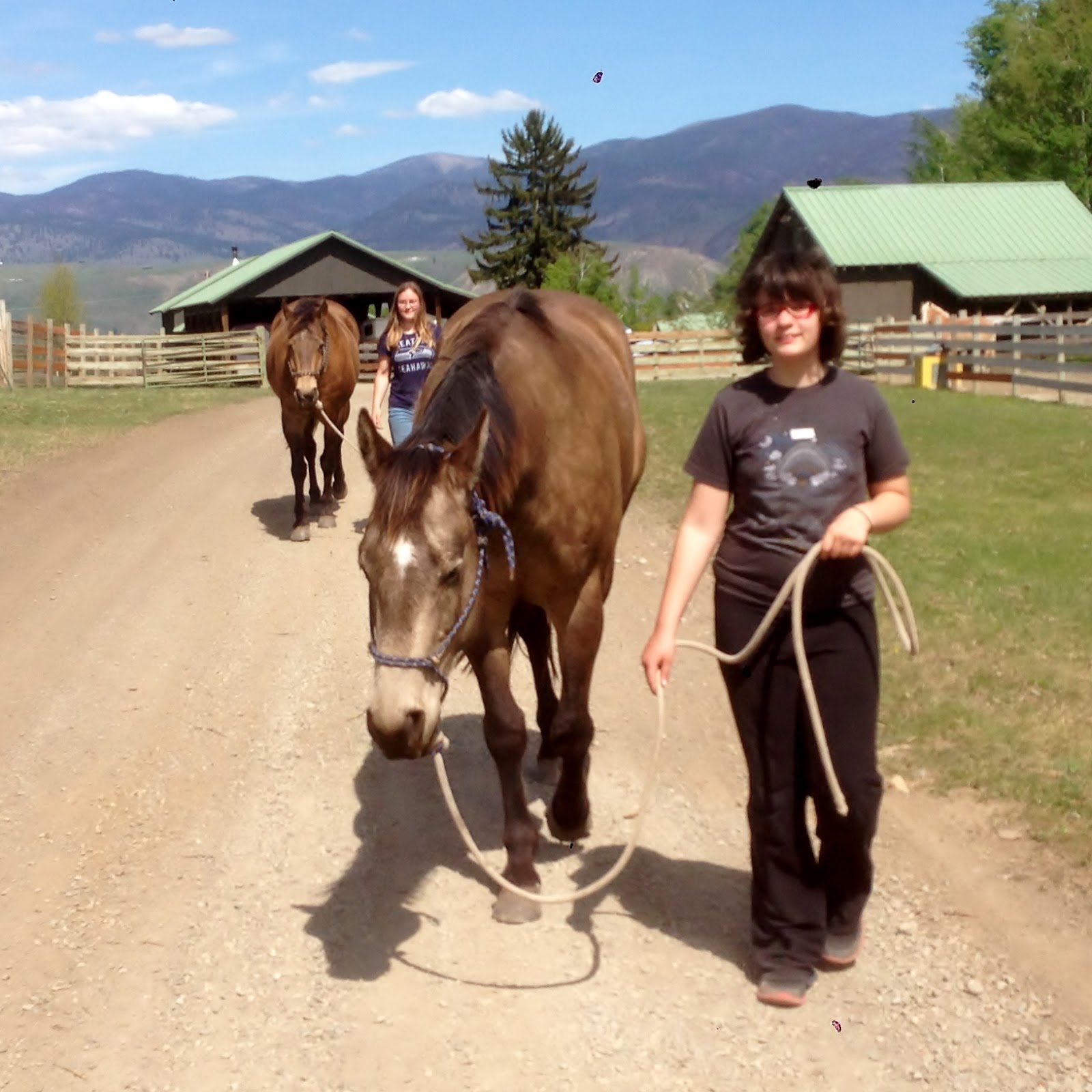 Methow Valley Riding Unlimited