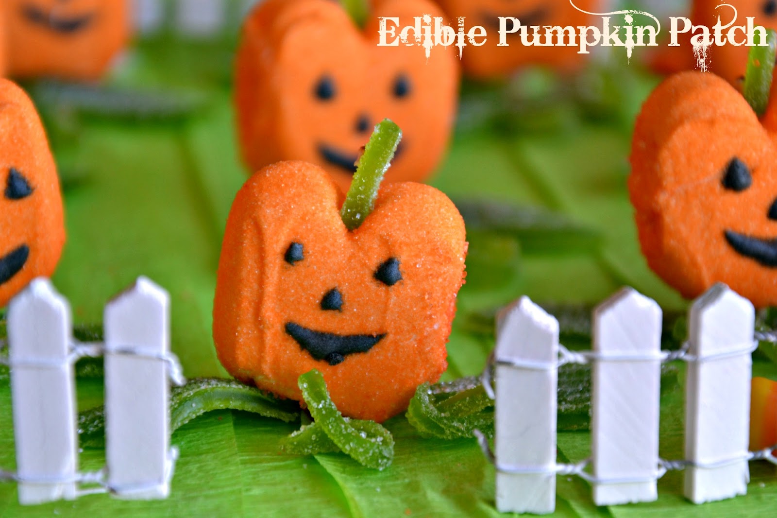 DIY Halloween Candy Displays with Pumpkin Peeps - Party Ideas | Party ...