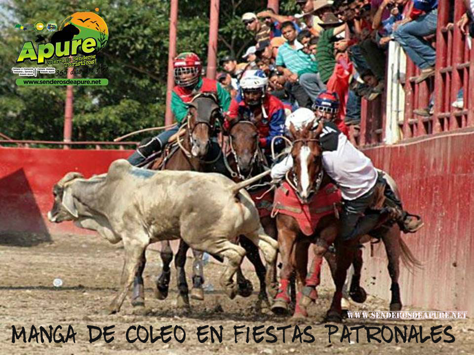 APURE: Costumbres y Tradiciones de Apure. - SenderosdeApure.Net