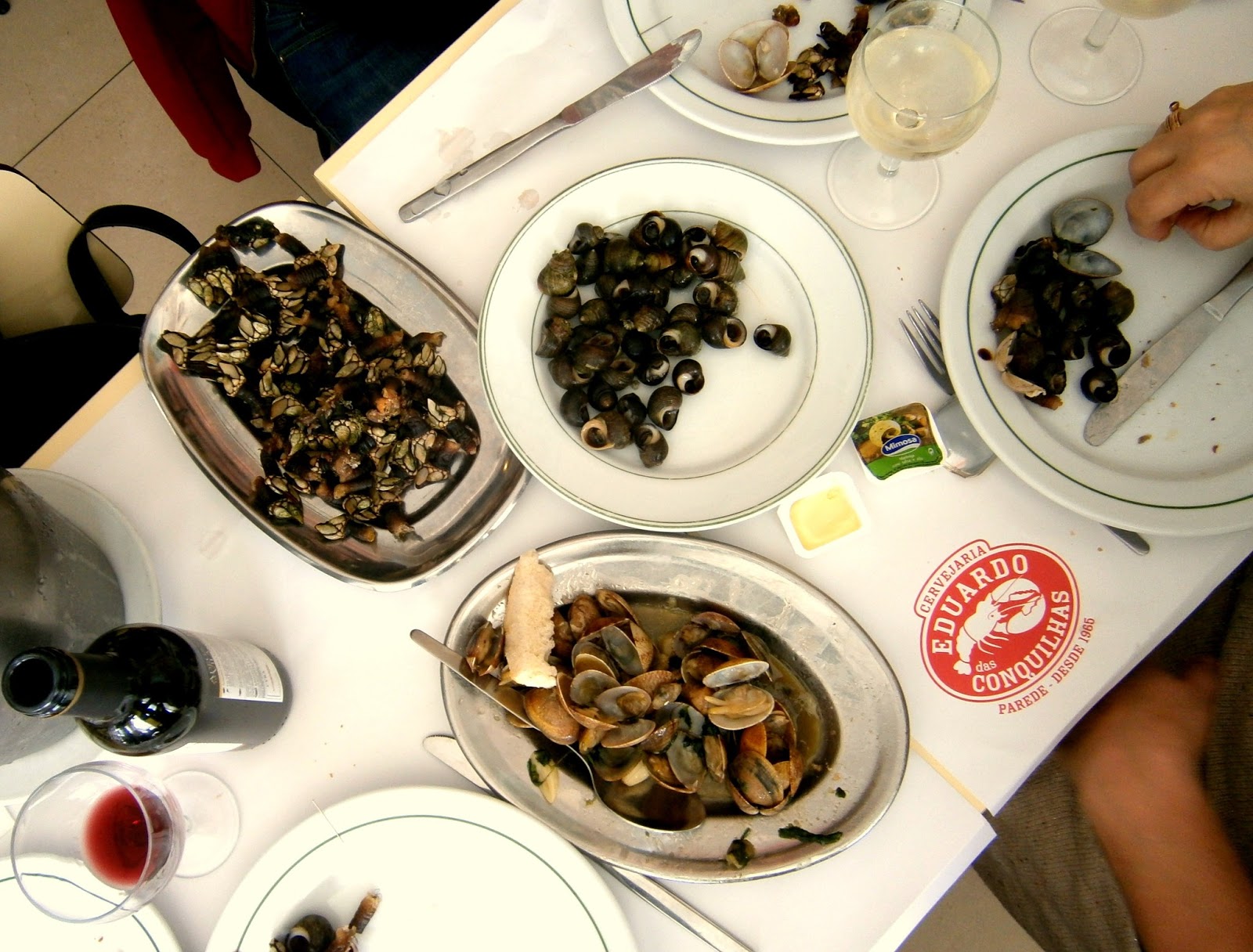 Dias que Voam: O maravilhoso Eduardo das Conquilhas