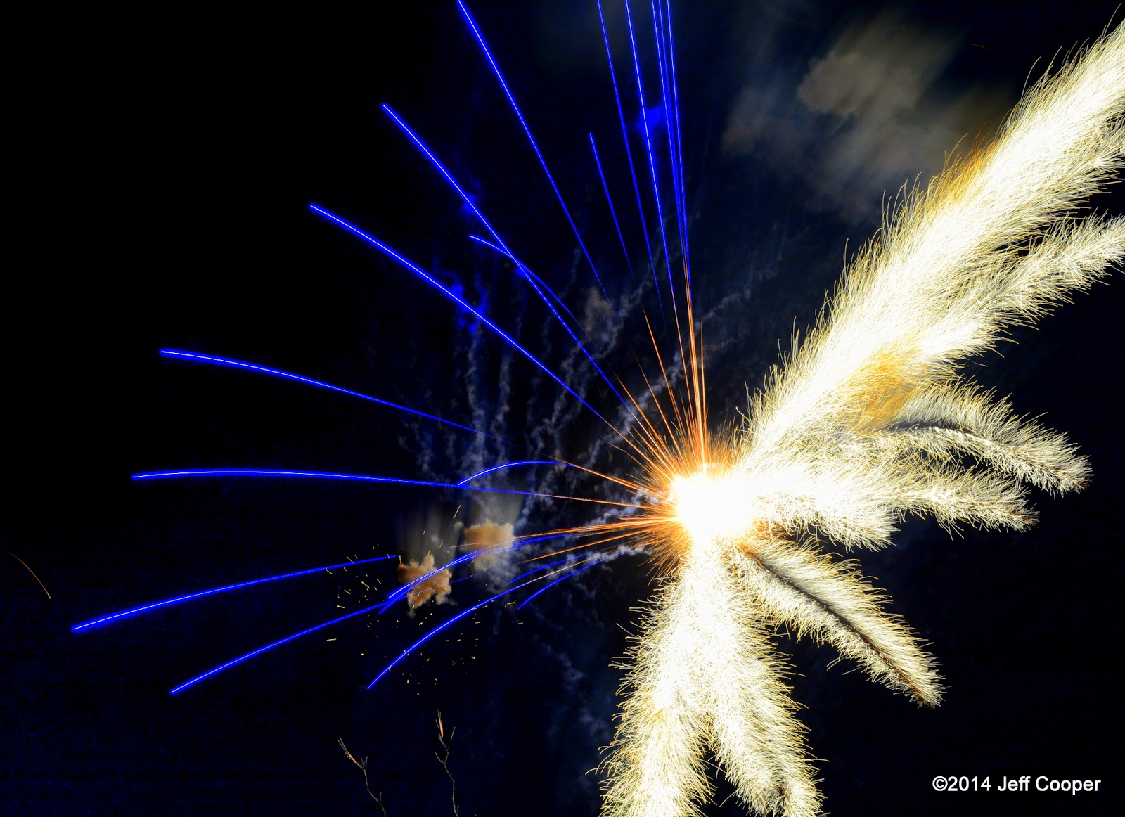 NeoVista Birds and Wildlife: Fireworks, The Moon, Owls, a Snake, And ...