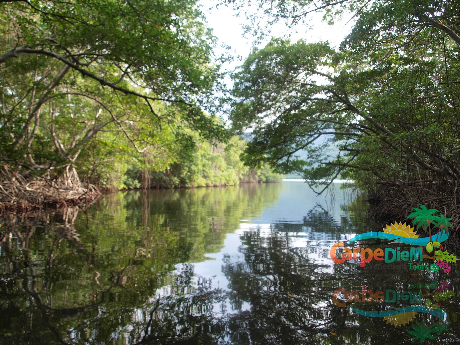 Ecolhoroscopia: La Ciénaga: Un paseo divertido y ecológico, no te lo ...