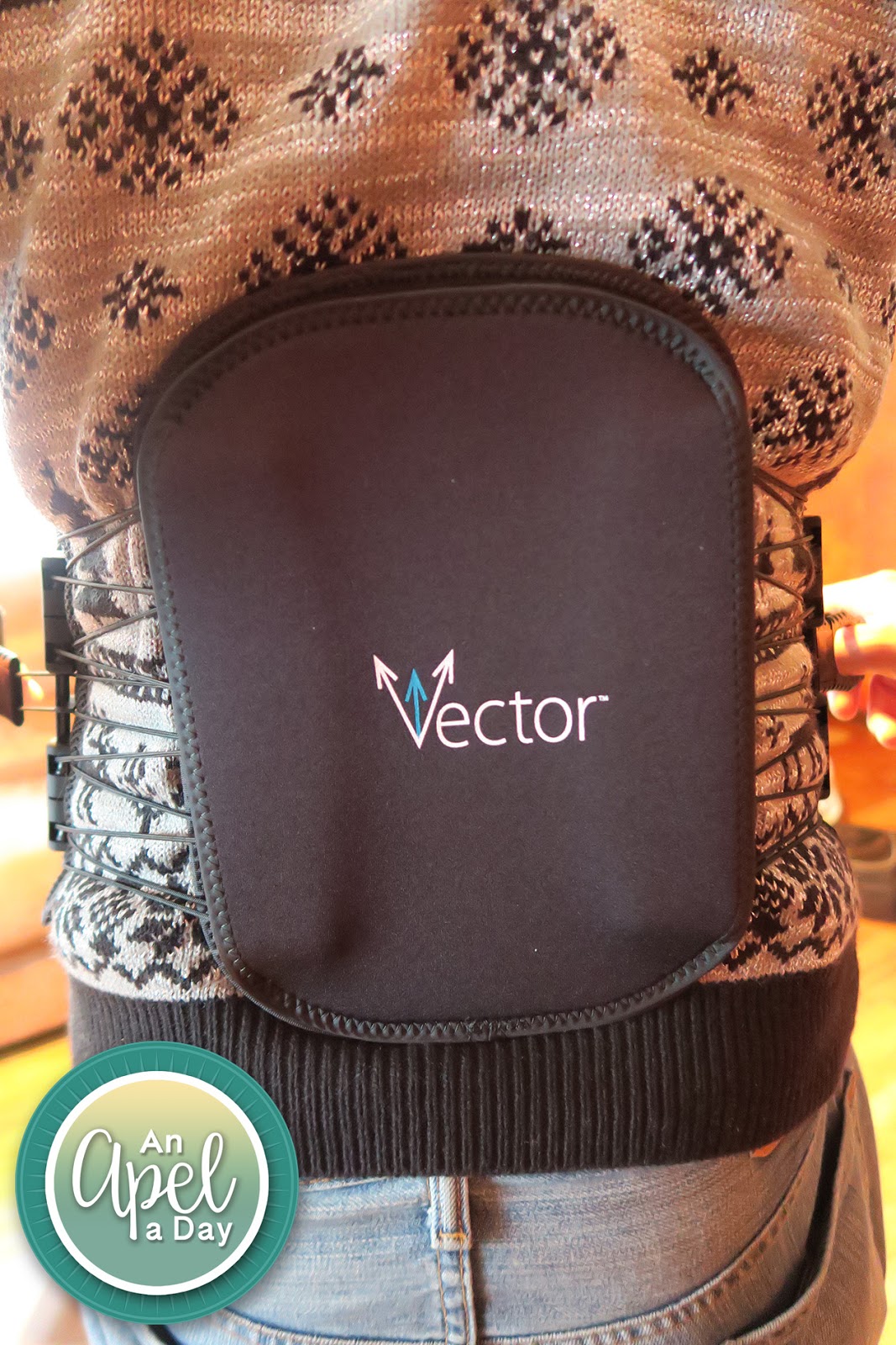 An Apel a Day: Vector Back Brace - #1 for Targeted Lumbar Compression ...