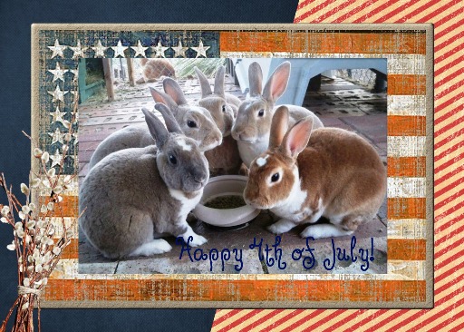 Heart of a Cowgirl: Bunny Monday and Happy 4th!