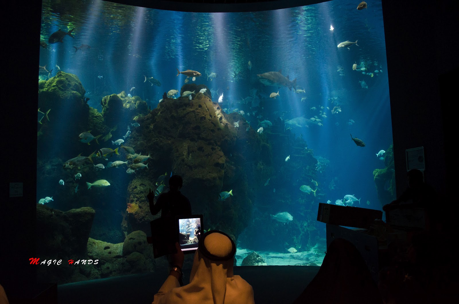 Photo Magic Hands: The scientific center kuwait