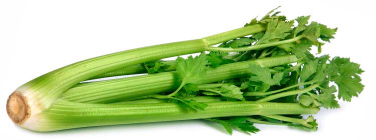 Control de Peso - Salud y Bienestar: PROPIEDADES DEL APIO, EXCELENTE.