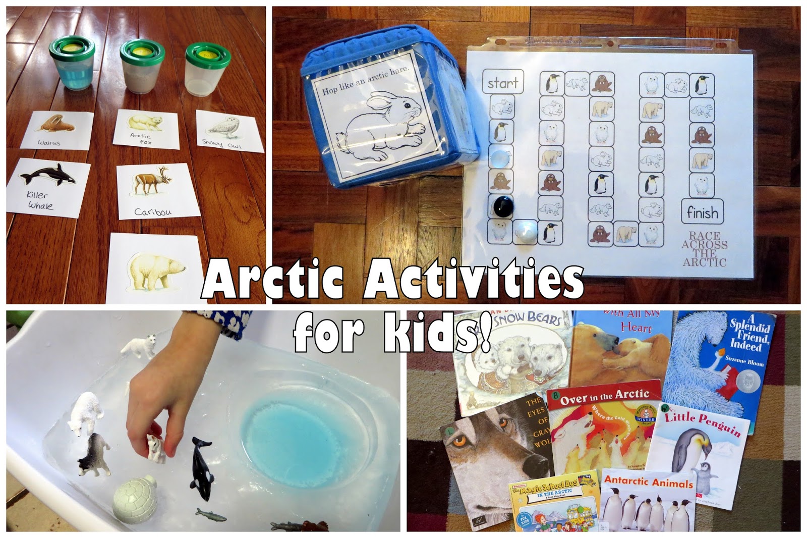 Mom's Tot School: The Arctic