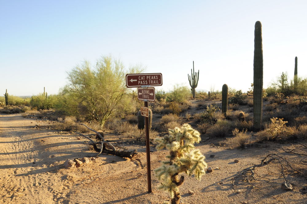 Exploring the Southwest: Cat Peak Loop - Usery Mountain Park.