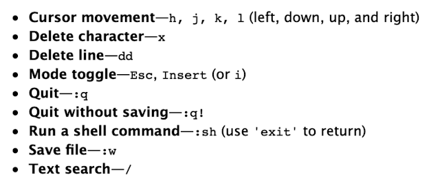 Development Tips & Tricks : Docker Basic Commands