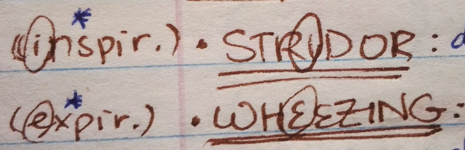 Winding Spiral Case: How To Study: Making Notes