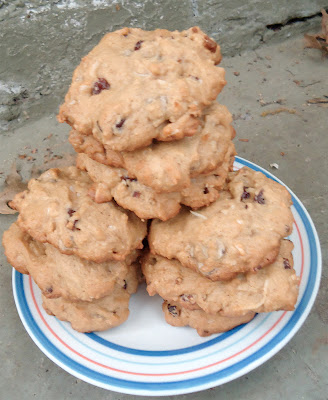 Eat, Run, Read: Cake of the Week: Presidential Sweet Cookies