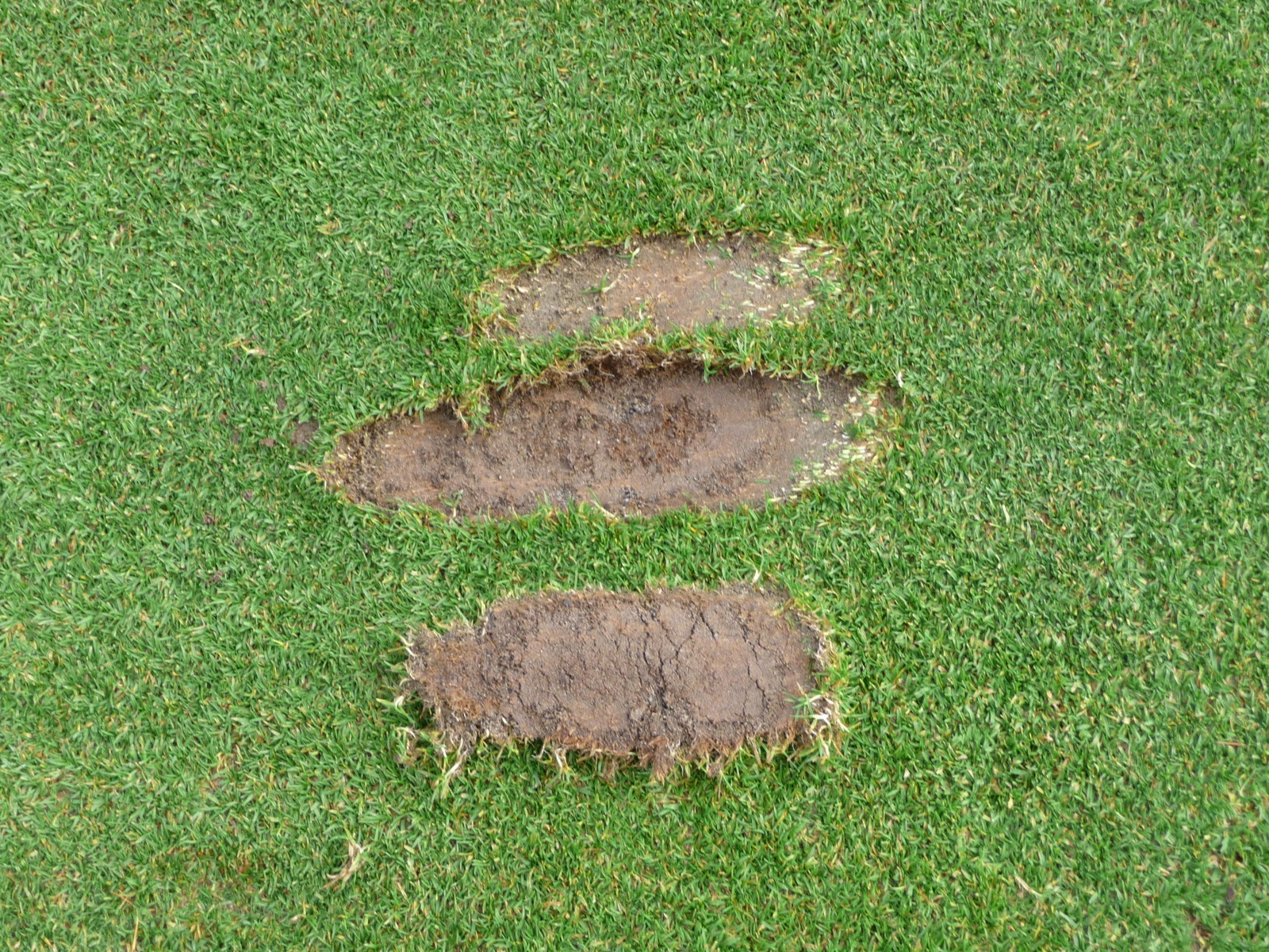 divot - définition - What is