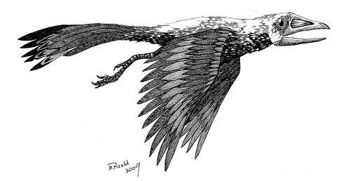 Redes: Observatorio, análisis y reflexión: Sobre Triceratops, Tyler ...