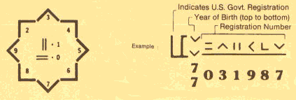 Marvelous Mustangs: Freezemark Brands