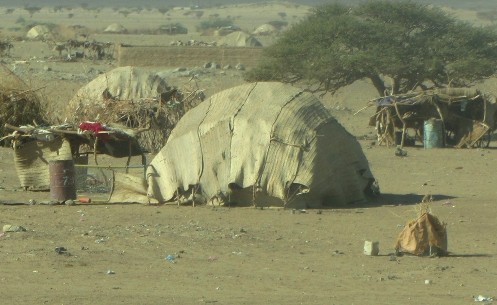 Herodotus on Proto-Somalis (Macrobians) | Somali Spot | Forum, News, Videos