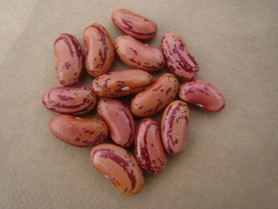 How farmers can double their bean yield production