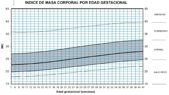 Dra. Carola Novelli: Control del estado nutricional materno (mujeres ...