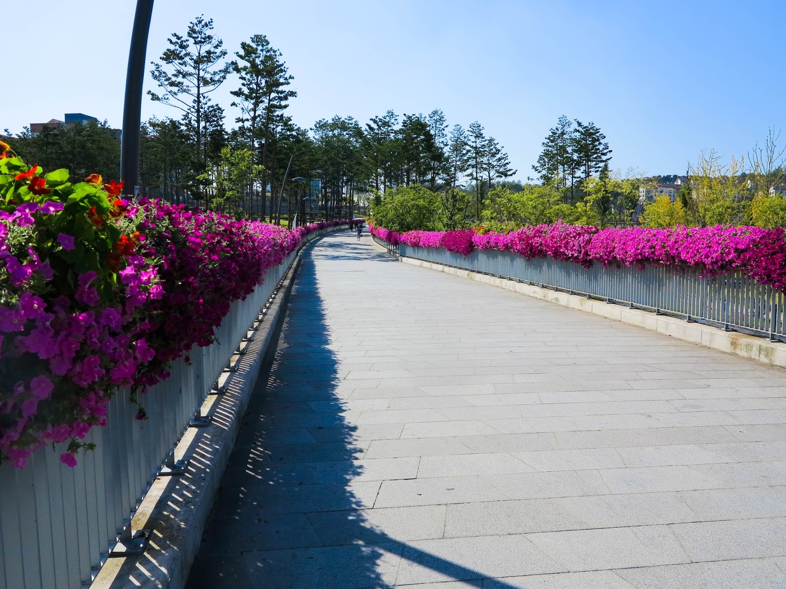 suwon gwanggyo lake park , big park in korea. - DOL I 'S BLOG