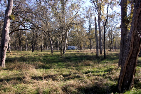 On the road again.....: Texas - Stephen F. Austin State Park