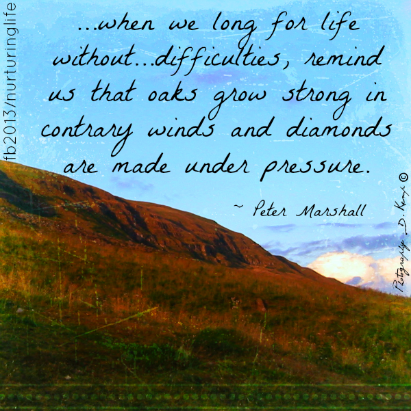 When we long for life wihtout...difficulties, remind us that oaks grow ...