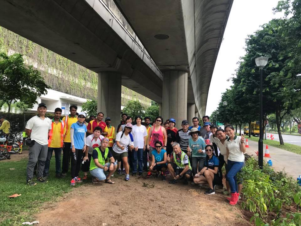 smallwheelsbigsmile: LCSG and NParks PCN improvements 7th July 2018