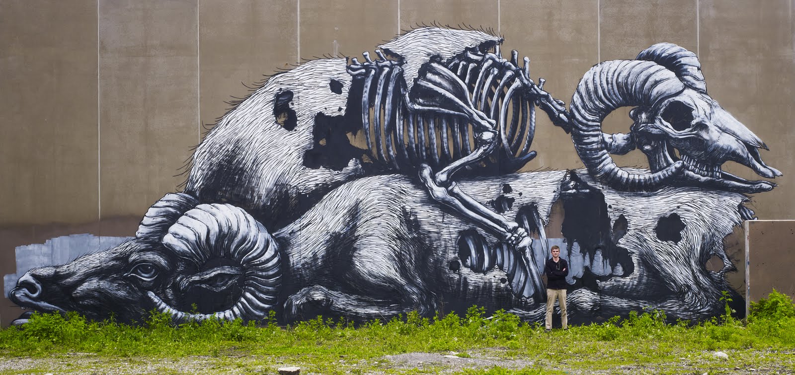 The Operable Window: New Chicago Street Art: ROA's Animal Murals