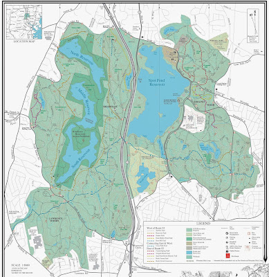 Breakheart Outdoors: Middlesex Fells Hike - Too Much Time To Think