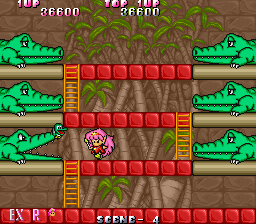 Super Adventures in Gaming: Rod-Land (Arcade)