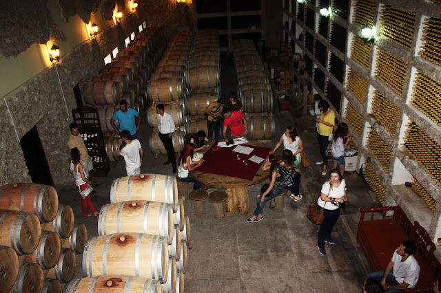 Vinăria Asconi (Ialoveni) | Adry's Blog