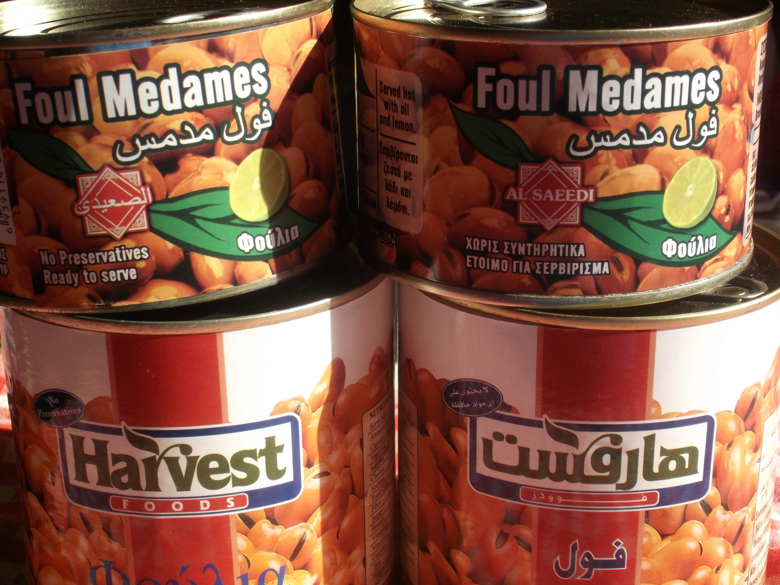 Egyptian Fool Medammess Beans With Tahini, Tomato / Lettuce Salad ...