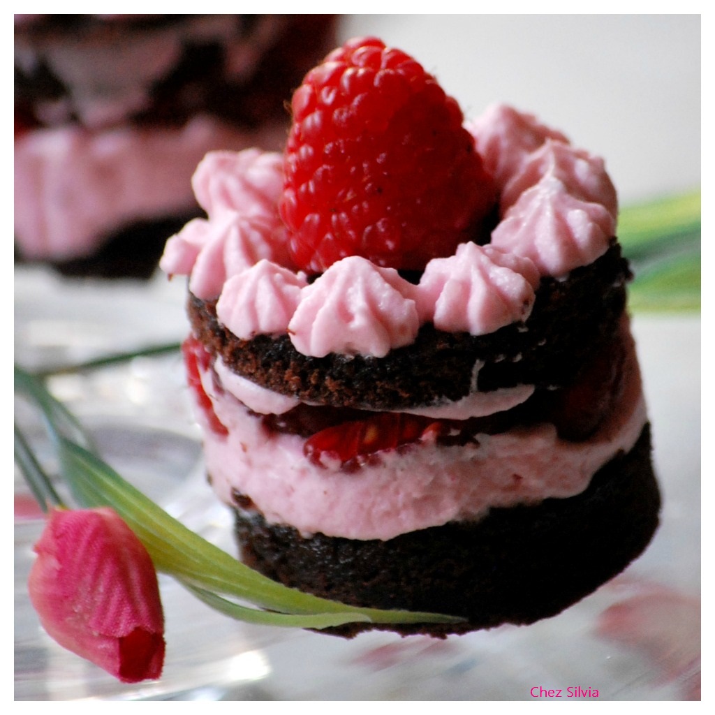 Mini mousse de frambuesas con chocolate — Chez Silvia