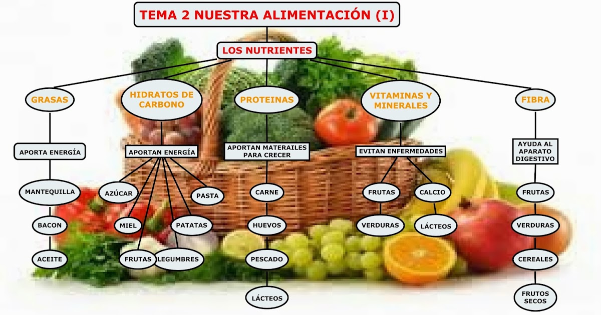 La libreta de Antonio: TEMA 2. NUESTRA ALIMENTACIÓN. MAPA CONCEPTUAL