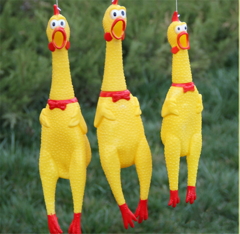 Los relatos de Aziza: Shufiando: El pollero y sus pollitos