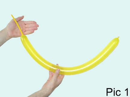 CLASSICAL: Balloon chicken