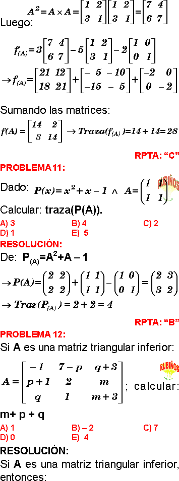 MATRICES EJERCICIOS RESUELTOS PDF