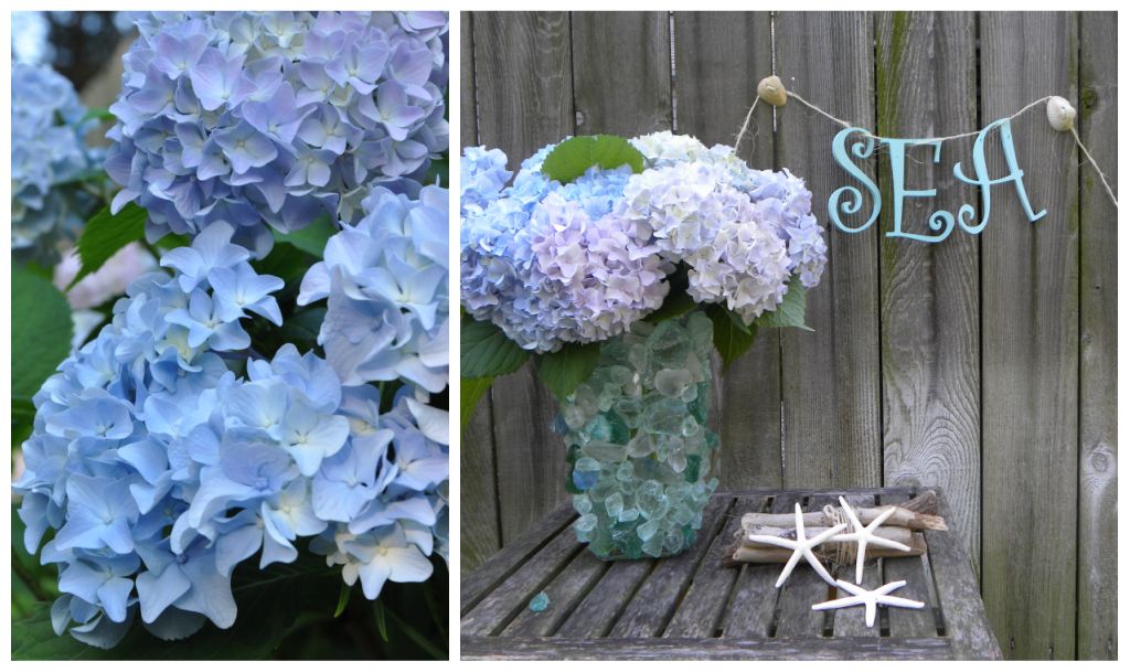 Simple Daisy: {seaglass vase}