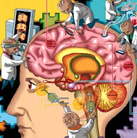 PROCESOS PARA LA ADQUISICIÓN DEL APRENDIZAJE: ASPECTOS BIOLÓGICOS EN EL ...