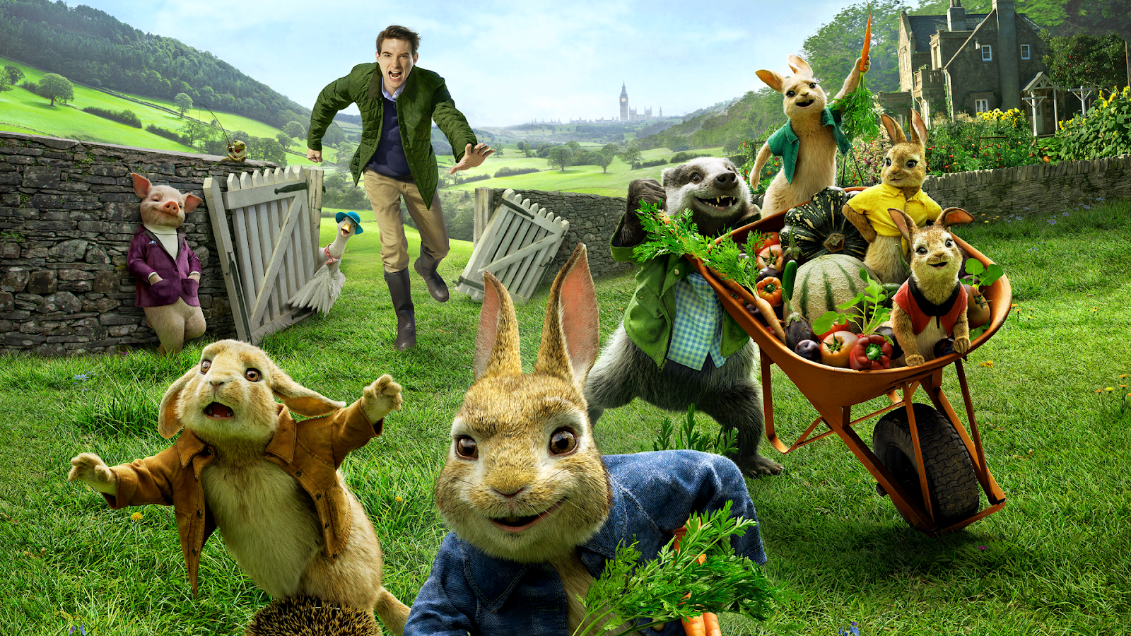 Peter Rabbit - 1920x1080 Wallpapers - Full HD Backgrounds